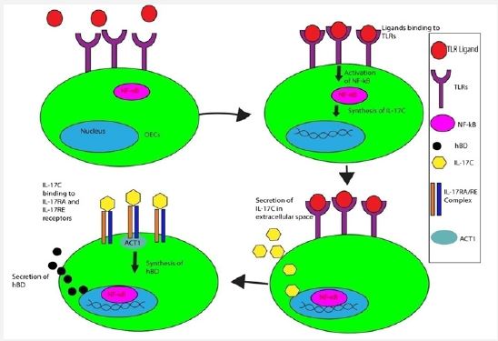 Advances in Dentistry & Oral Health (ADOH) | Juniper Publishers