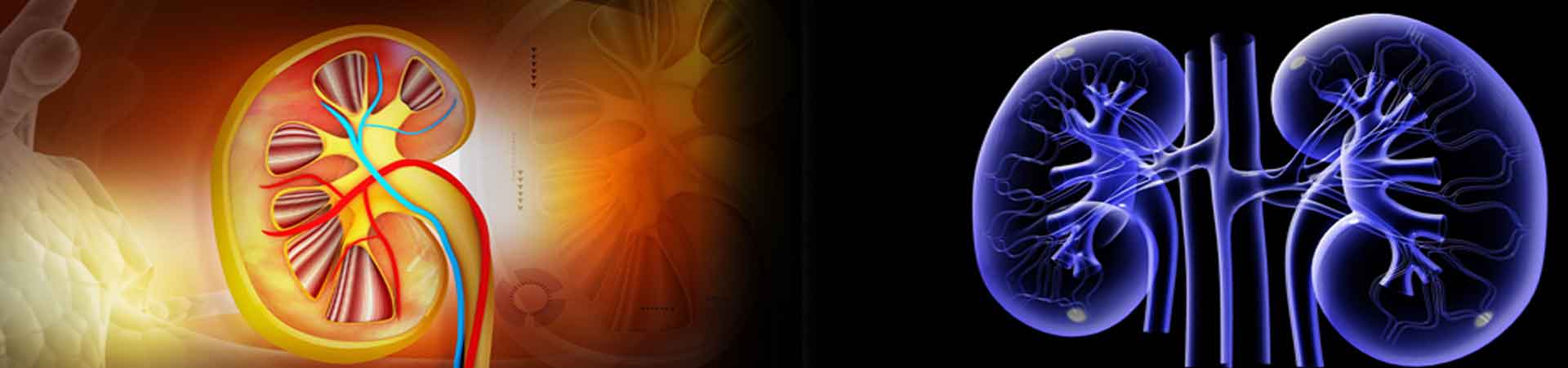 Journal of Nephrology : Journal of Urology | Juniper Publishers