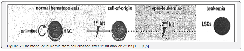 The New Concepts for Leukemia Probably Especially in Chronic Myeloid ...
